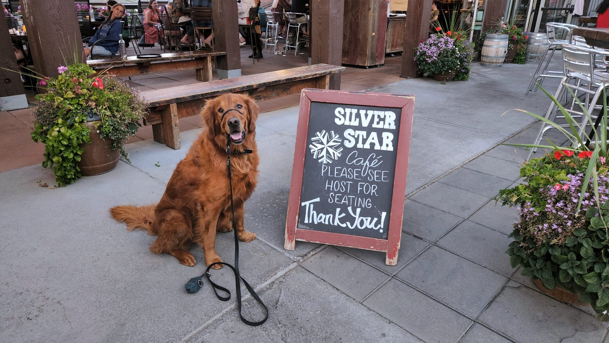 Dog Friendly Restaurants and Bars in Park City, Utah - Dog Friendly SLC