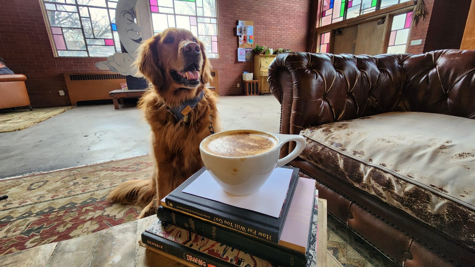 Dog Friendly Coffee Shops Around SLC - Dog Friendly SLC