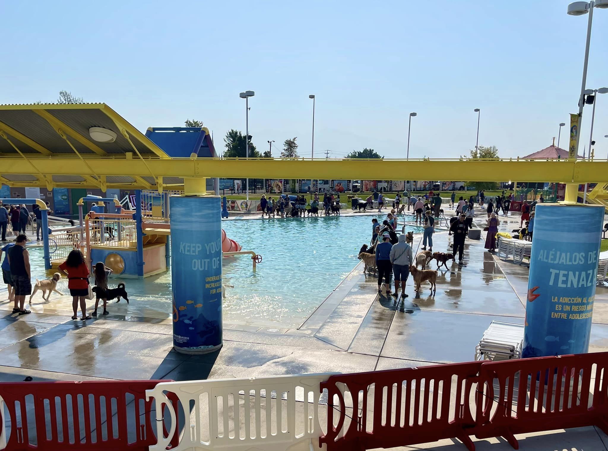 KOPFC Doggy Paddle Day – Dog Friendly SLC