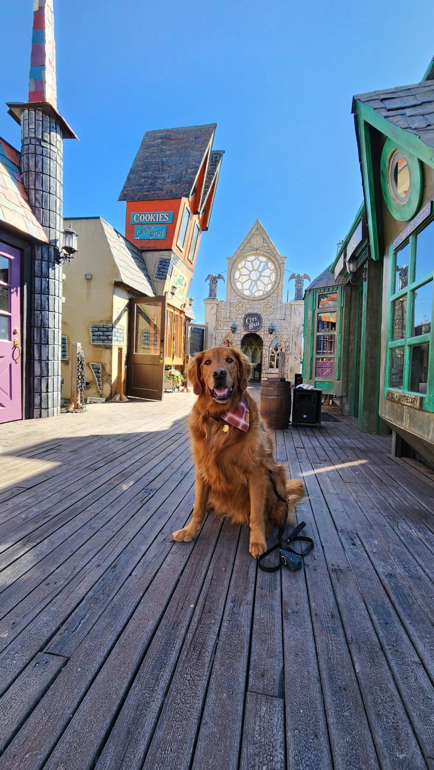 Boneyard Bash – Dog Friendly SLC